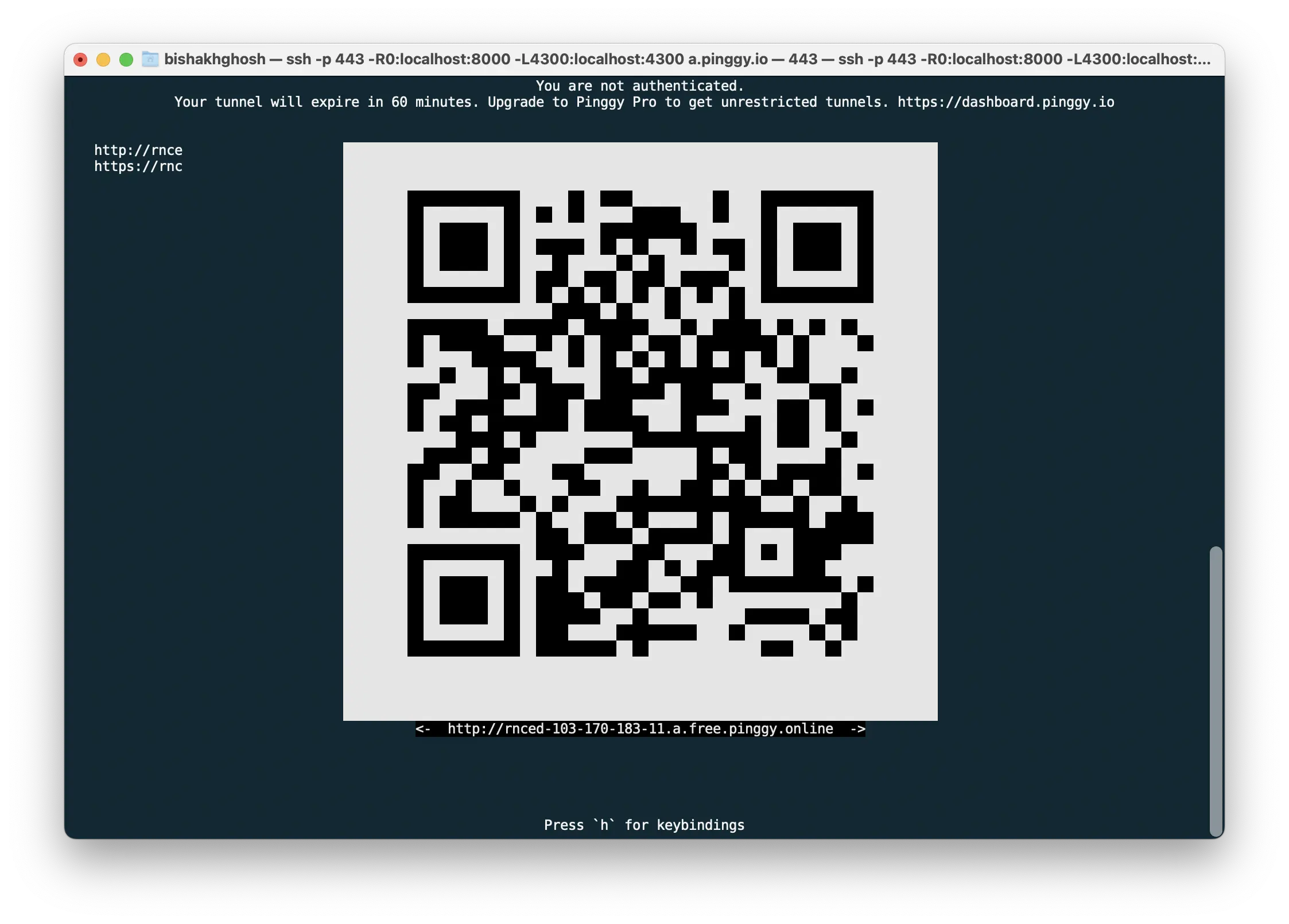 Display Qr Code In Terminal