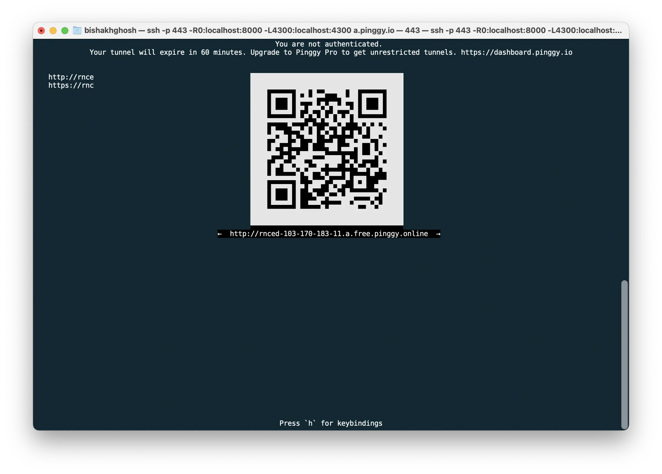 Display Qr Code In Terminal